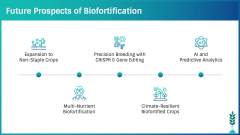 Biofortification PowerPoint and Google Slides Template - PPT Slides