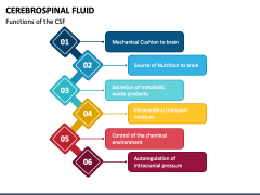Cerebrospinal Fluid PowerPoint and Google Slides Template - PPT Slides