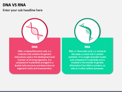 DNA Vs RNA PowerPoint and Google Slides Template - PPT Slides