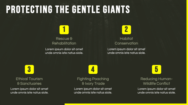 Free - Elephant Theme for PowerPoint and Google Slides - PPT Slides