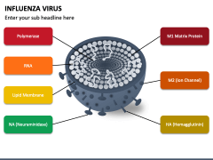 Influenza Virus PowerPoint and Google Slides Template - PPT Slides