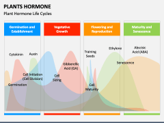 Plants Hormone PowerPoint and Google Slides Template - PPT Slides