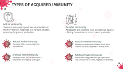 Acquired Immunity PowerPoint and Google Slides Template - PPT Slides