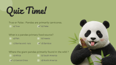 Free - Cute Panda Presentation Theme for PowerPoint and Google Slides ...