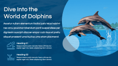 Free - Dolphin Presentation for PowerPoint and Google Slides - PPT Slides