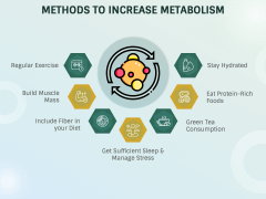 Metabolism PowerPoint and Google Slides Template - PPT Slides