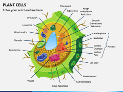 Plant Cells PowerPoint and Google Slides Template - PPT Slides