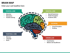 Brain Map for PowerPoint and Google Slides - PPT Slides