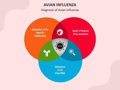 Avian Influenza PowerPoint and Google Slides Template - PPT Slides