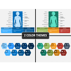 Lymphatic System PowerPoint Template and Google Slides Theme | SketchBubble