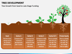 Tree Development PowerPoint and Google Slides Template - PPT Slides