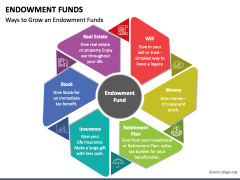 Endowment Funds PowerPoint and Google Slides Template - PPT Slides