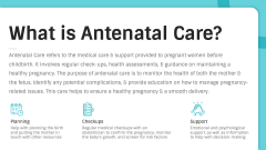 Antenatal Care PowerPoint and Google Slides Template - PPT Slides