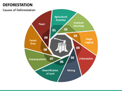 Deforestation PowerPoint and Google Slides Template - PPT Slides
