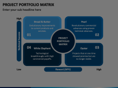 Project Portfolio Matrix PowerPoint and Google Slides Template - PPT Slides