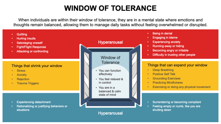 Window of Tolerance PowerPoint and Google Slides Template - PPT Slides
