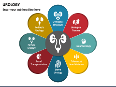 Free - Urology PowerPoint and Google Slides Template - PPT Slides