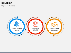 Bacteria PowerPoint and Google Slides Template - PPT Slides