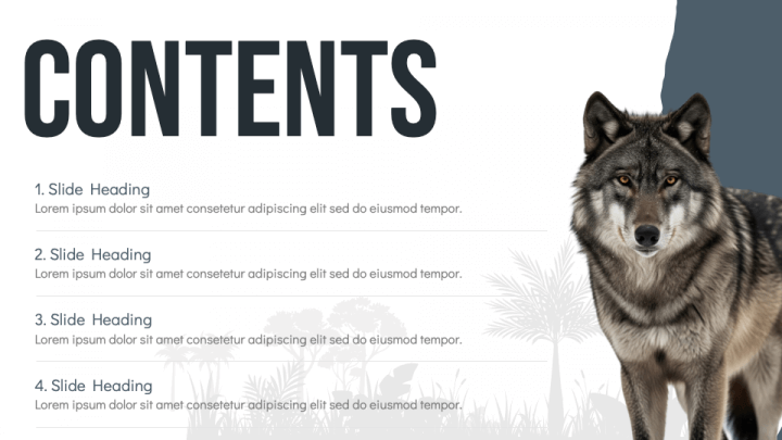 Free - Wolf Theme for PowerPoint and Google Slides - PPT Slides