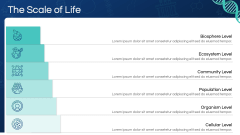 Free - Advanced Biology for High School Presentation for PowerPoint and ...
