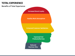 Total Experience PowerPoint and Google Slides Template - PPT Slides