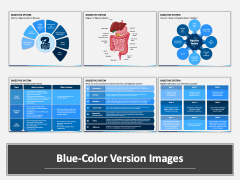 Digestive System PowerPoint and Google Slides Template - PPT Slides