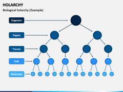 Holarchy PowerPoint Template - PPT Slides