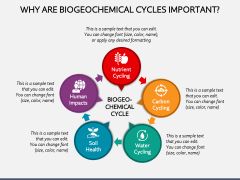 Biogeochemical Cycle PowerPoint and Google Slides Template - PPT Slides