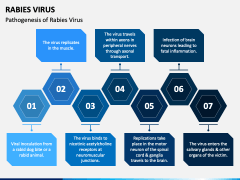 Rabies Virus PowerPoint and Google Slides Template - PPT Slides