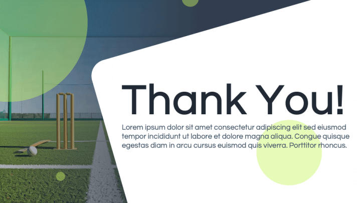 Free - Box Cricket Theme for PowerPoint and Google Slides - PPT Slides