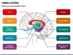 Limbic System PowerPoint and Google Slides Template - PPT Slides