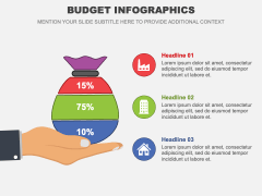 Budget Infographics for PowerPoint and Google Slides - PPT Slides