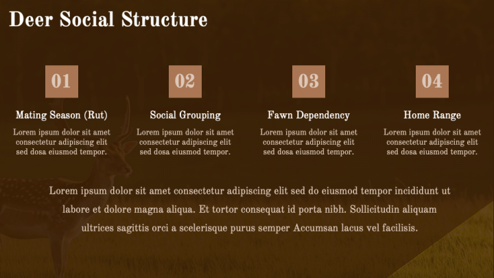 Free - Deer Presentation for PowerPoint and Google Slides - PPT Slides