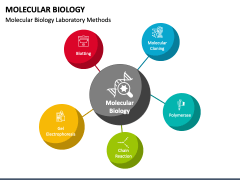 Molecular Biology PowerPoint and Google Slides Template - PPT Slides