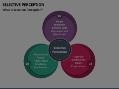 Selective Perception PowerPoint and Google Slides Template - PPT Slides