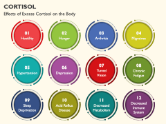 Cortisol PowerPoint and Google Slides Template - PPT Slides