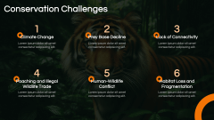 Free - Tiger Presentation for PowerPoint and Google Slides - PPT Slides