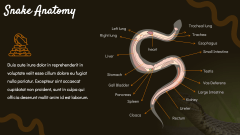 Free - Snake Presentation for PowerPoint and Google Slides - PPT Slides