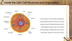 Free - Cell Biology Theme for PowerPoint and Google Slides - PPT Slides