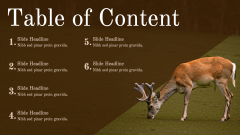 Free - Deer Presentation for PowerPoint and Google Slides - PPT Slides