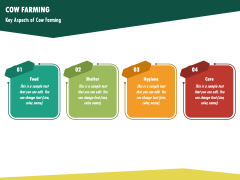 Cow Farming PowerPoint and Google Slides Template - PPT Slides