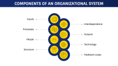 Organization as a System PowerPoint and Google Slides Template - PPT Slides