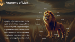 Free - Lion Presentation for PowerPoint and Google Slides - PPT Slides