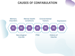 Confabulation PowerPoint and Google Slides Template - PPT Slides