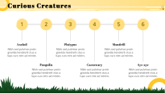 Free - Wild Animals Presentation for PowerPoint and Google Slides - PPT ...
