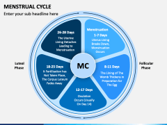 Free Menstrual Cycle PPT - PowerPoint and Google Slides Template