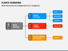 Plants Hormone PowerPoint and Google Slides Template - PPT Slides