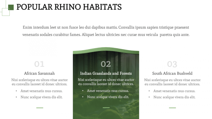 Free - Project Rhino PowerPoint and Google Slides Template - PPT Slides