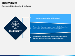 Biodiversity PowerPoint and Google Slides Template - PPT Slides