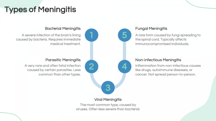 Meningitis PowerPoint and Google Slides Template - PPT Slides